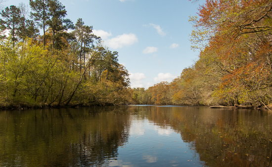 Paddling the Black River | Roads End Naturalist