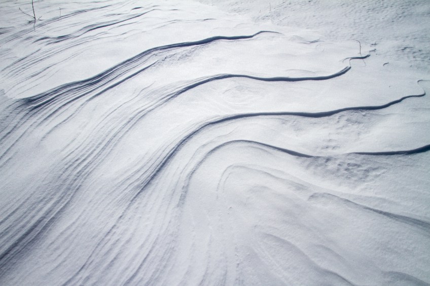 Patterns in snow | Roads End Naturalist