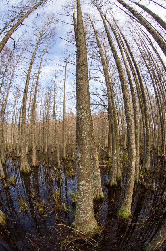 Refuge Magic | Roads End Naturalist