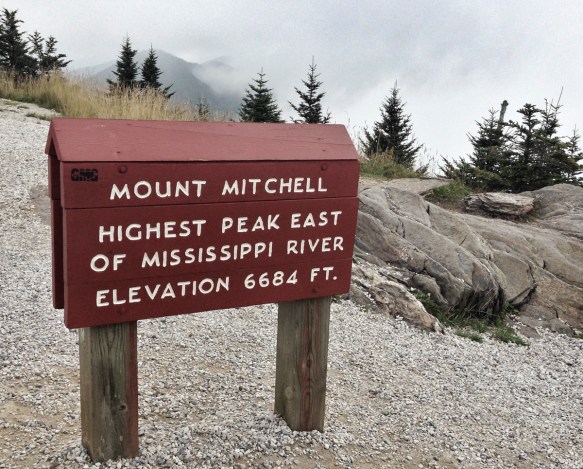 The Mountain | Roads End Naturalist