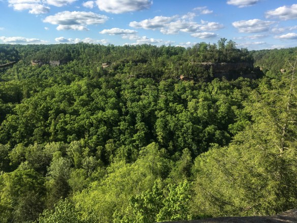 Red River Gorge | Roads End Naturalist