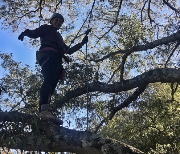Tree Climbing | Roads End Naturalist