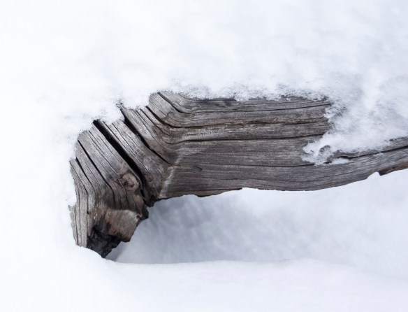 Sharing The Place We Love | Roads End Naturalist