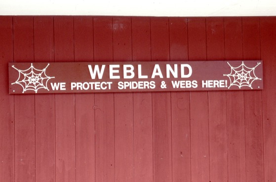 March | 2019 | Roads End Naturalist