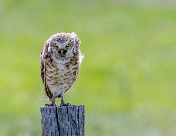 truck camping | Roads End Naturalist