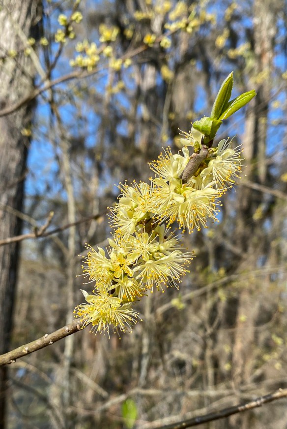 April | 2022 | Roads End Naturalist