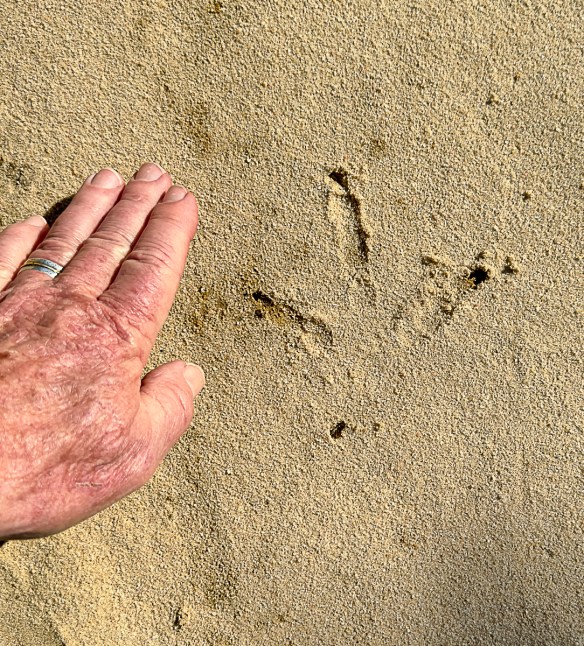 Jones Lake and Paddling the Black River | Roads End Naturalist