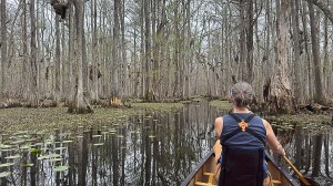 Roads End Naturalist | Educating myself and others about the natural ...